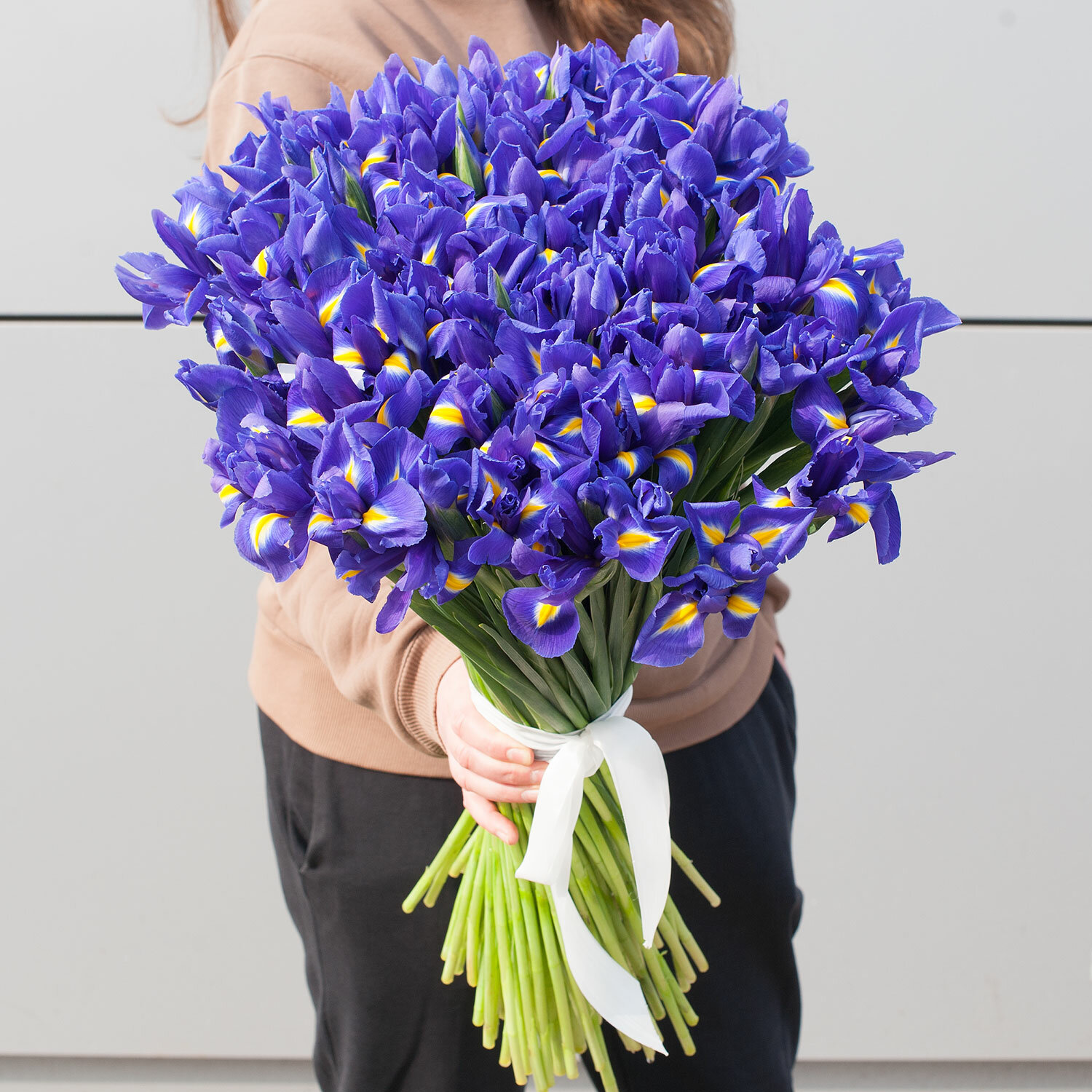 Монобукет Charlotte "Ирисовый Сад", 101 цветок, синий, на стеблях