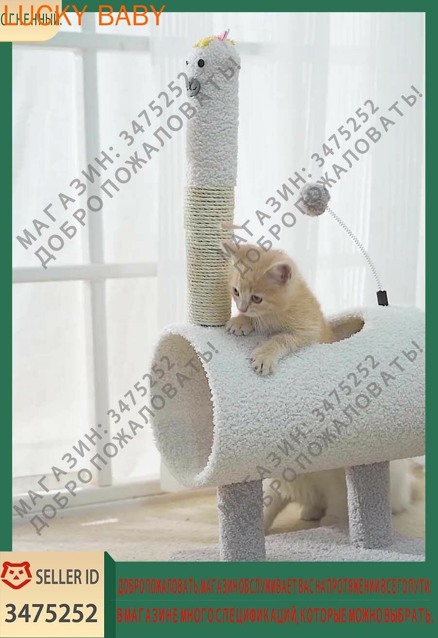 Одежда для животных