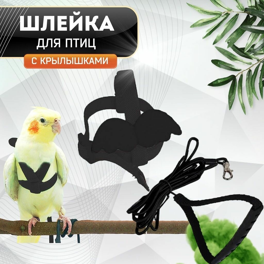 Игрушка для животных