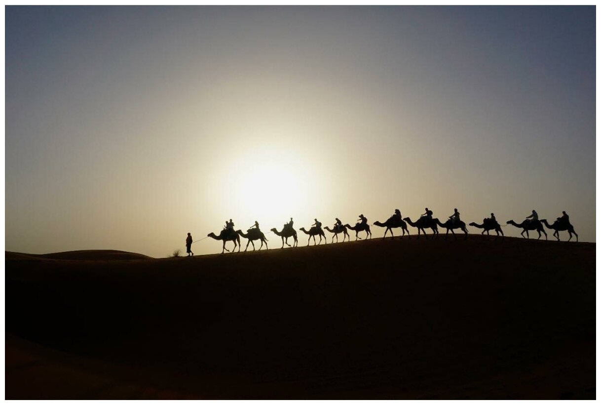 Постер / Плакат / Картина Караван верблюдов 60х90 см в подарочном тубусе