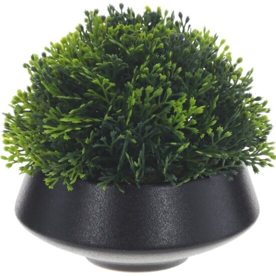 Цветочная композиция Remeco Collection 12х12х11 см (797771)