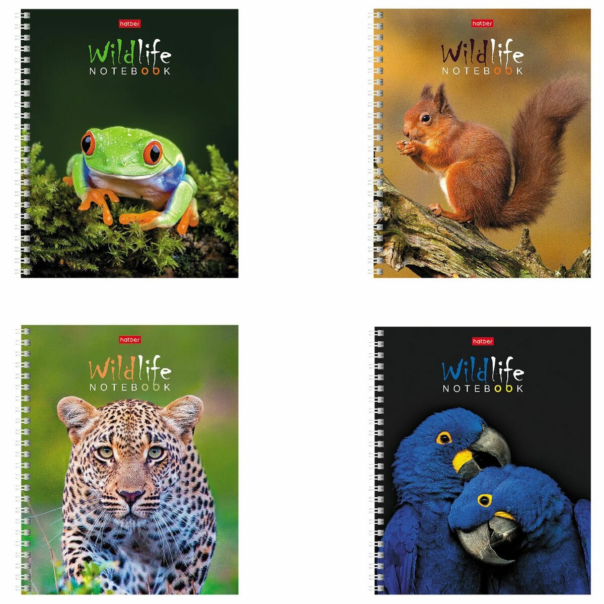 Тетрадь общая 80л, А5 Hatber "ЗОО_мир" (клетка, спираль) (80Т5В1гр), 4шт.