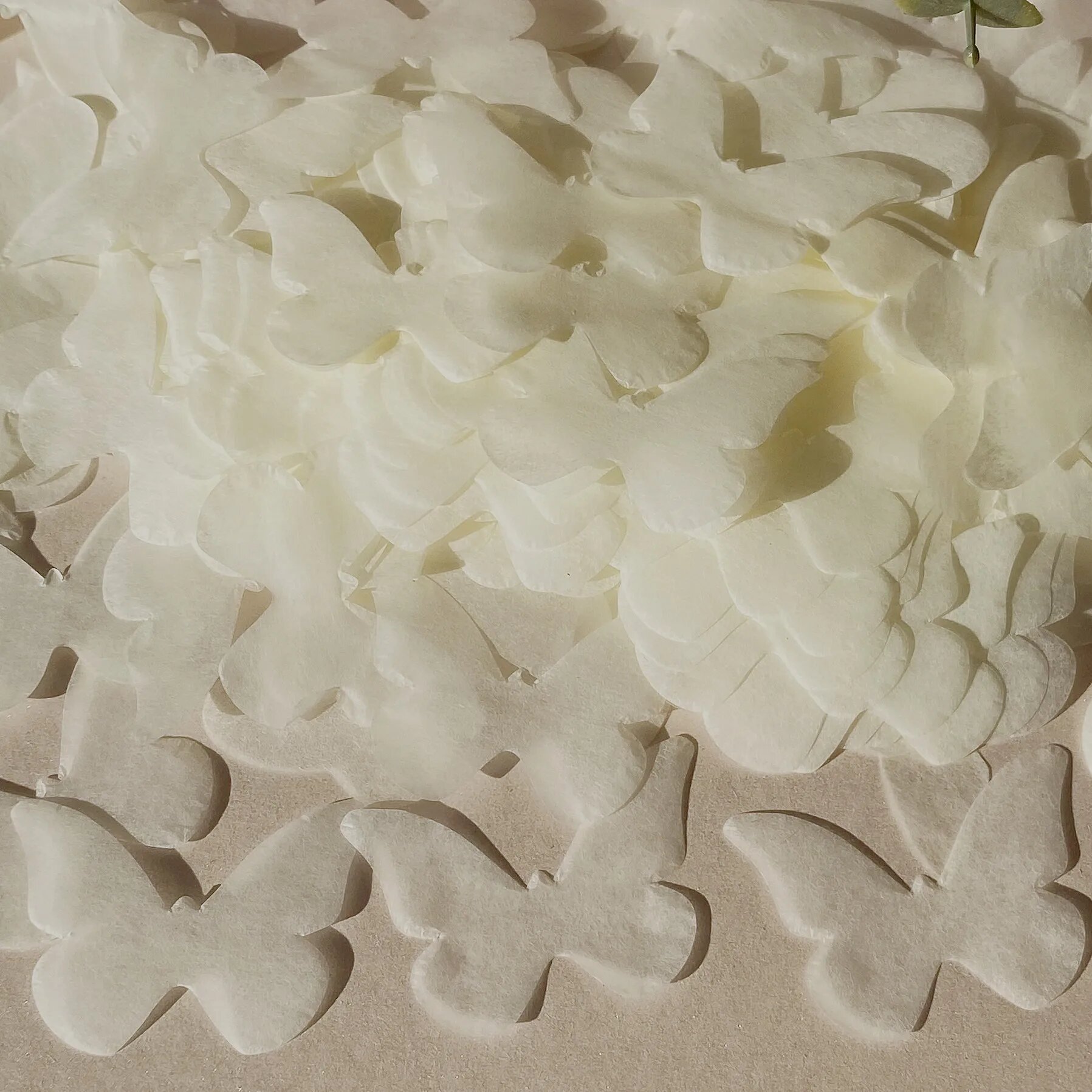 Биоразлагаемые белые бабочки для свадьбы Poolohmeh 2000 шт Белый, Ivory