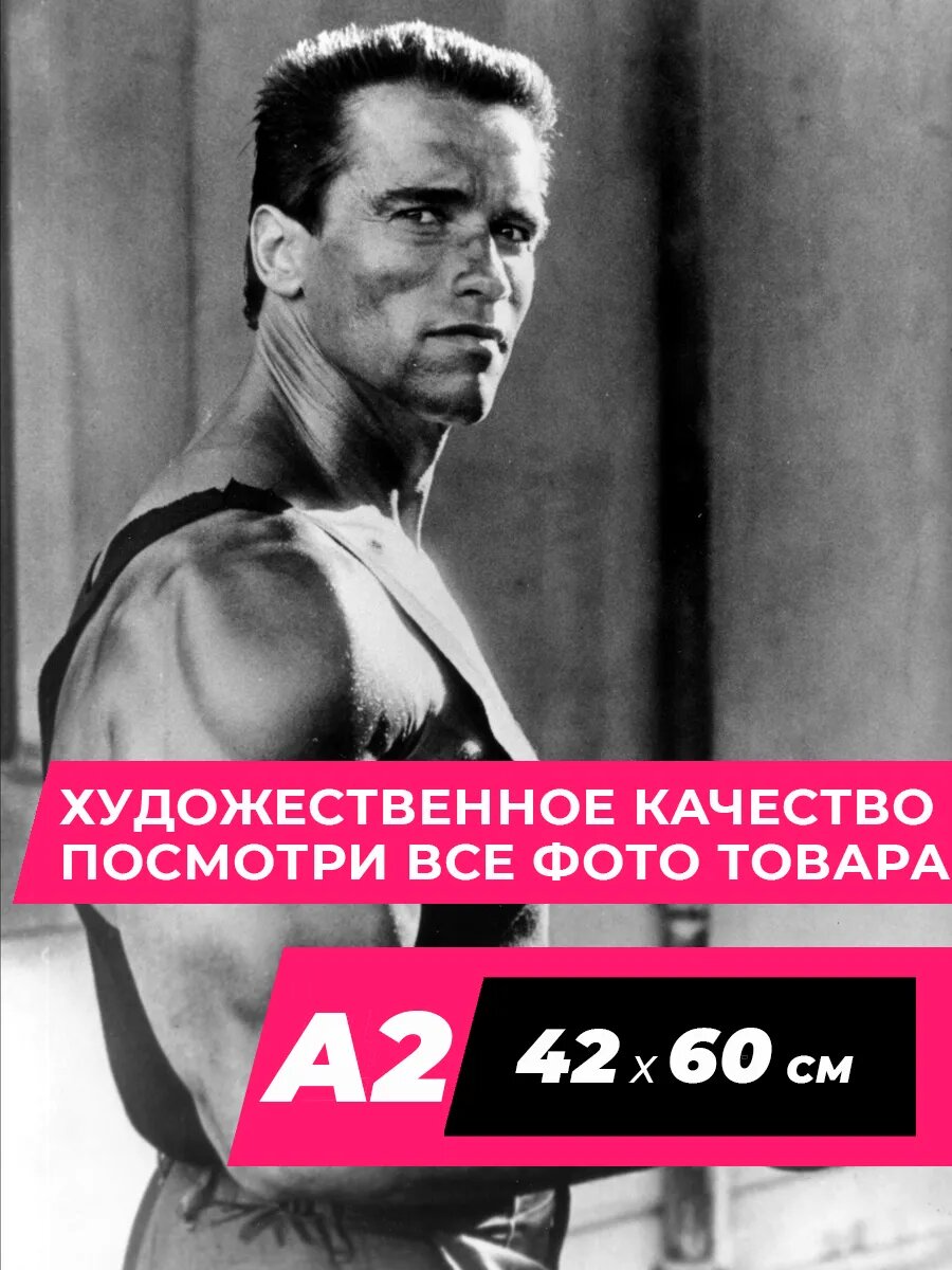 Постер Шварценеггер Арнольд на стену 4 A2, матовая фотобумага премиум качества