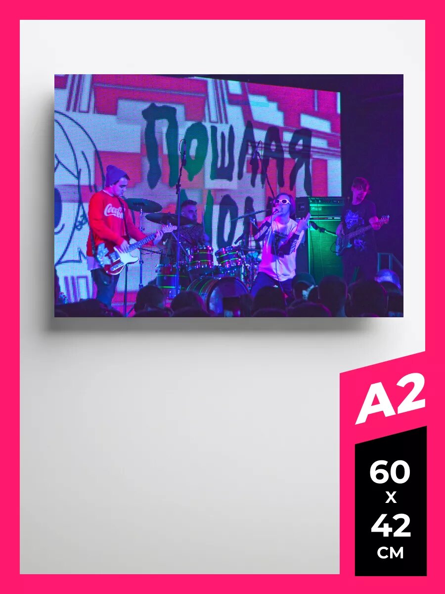 Постер Пошлая Молли плакат на стену А1, А2, А3, 50 на 70 20, матовая фотобумага премиум качества