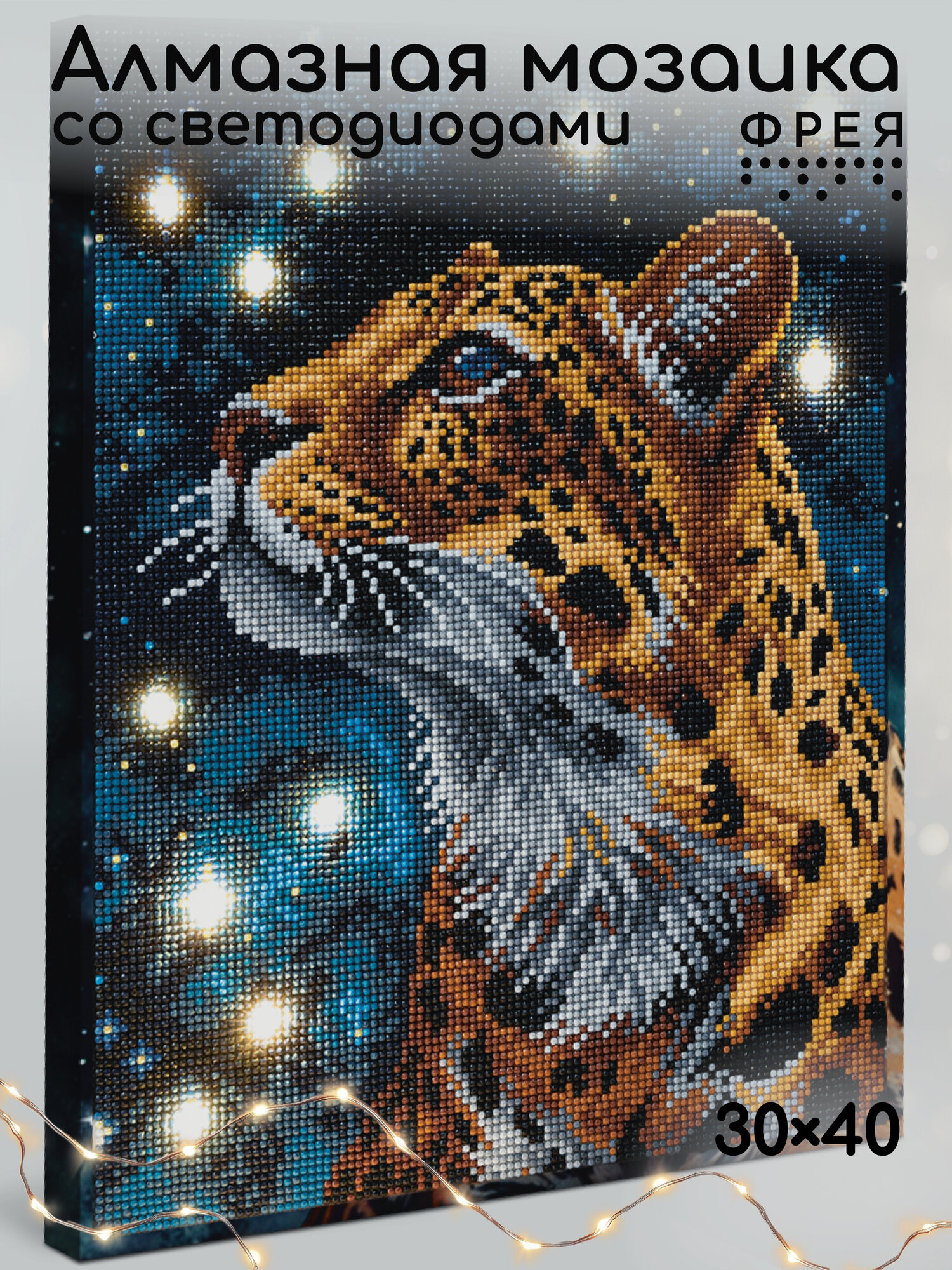 Алмазная мозаика на подрамнике светящаяся 30x40 "фрея" ALDD-335 "Наедине со Вселенной"
