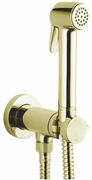 Гигиенический душ Bossini Paloma Brass E37005B.021