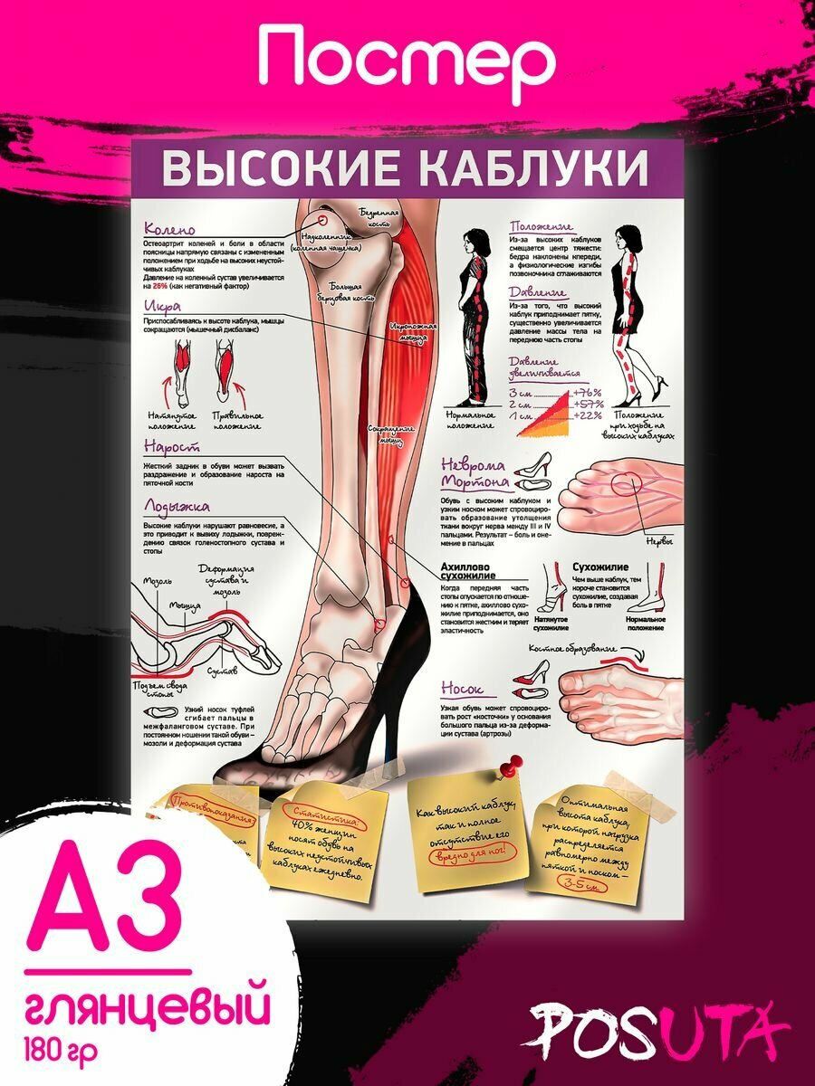 Постеры Высокие каблуки Постеры интерьерные