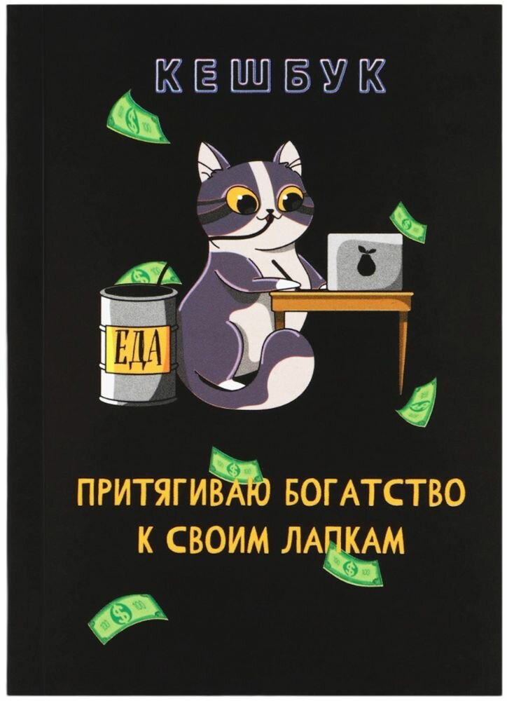 Блокнот для планирования финансов "Кот" с советами и заданиями, формат А6, 52 листа, ежедневник на склейке, в мягкой картонной обложке