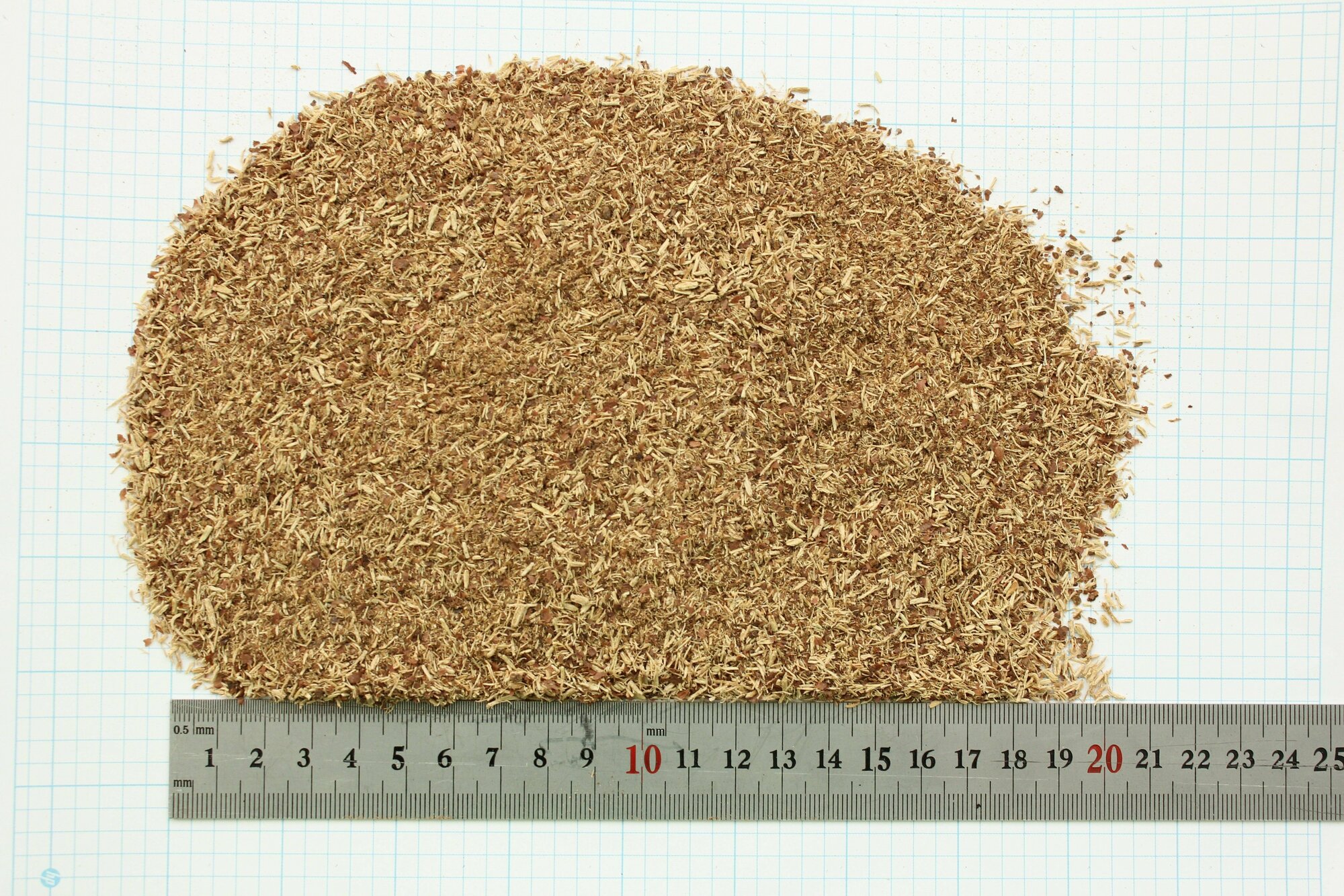 Лоза лимонника 500 грамм