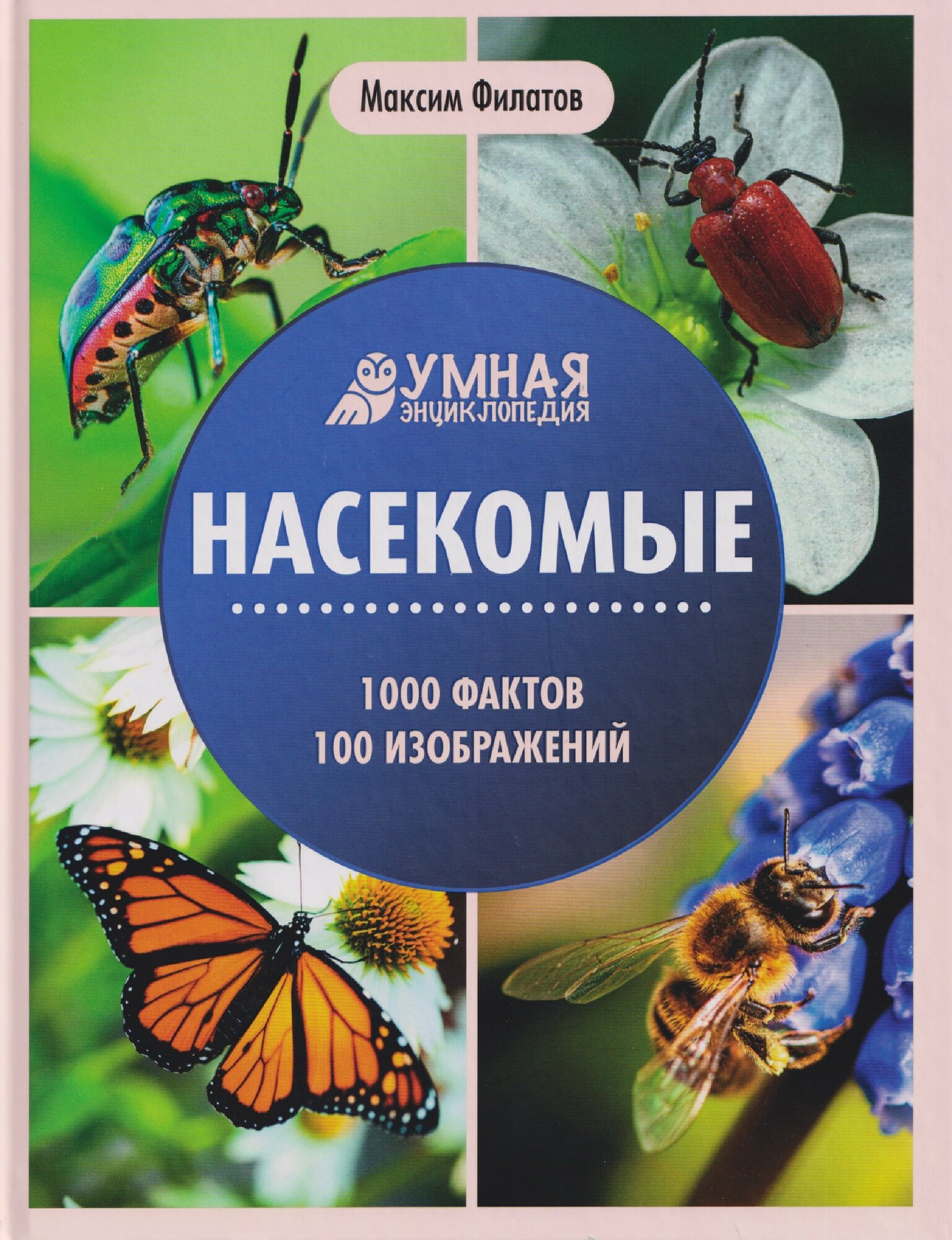 Насекомые: энциклопедия (Максим Филатов)