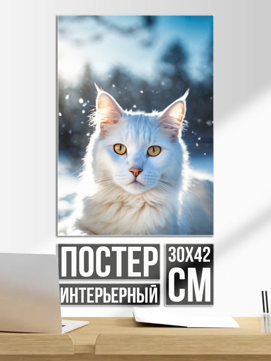 Постер на стену Белый кот с желтыми глазами сидит в снегу