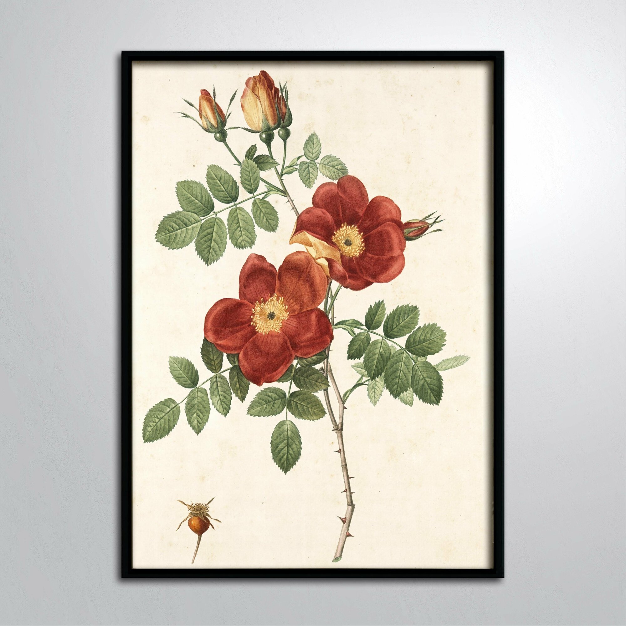 Постер без рамы/Постер для интерьера/Абстракция Современное искусство Акварель Шиповник (А2/420х594)