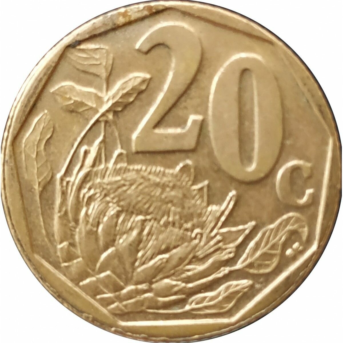 20 центов 2012 ЮАР из оборота