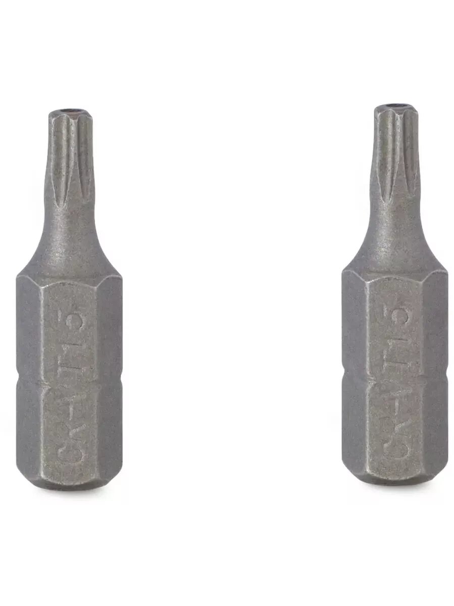 Бита магнитная 554142 T15x25 мм, 2 шт.