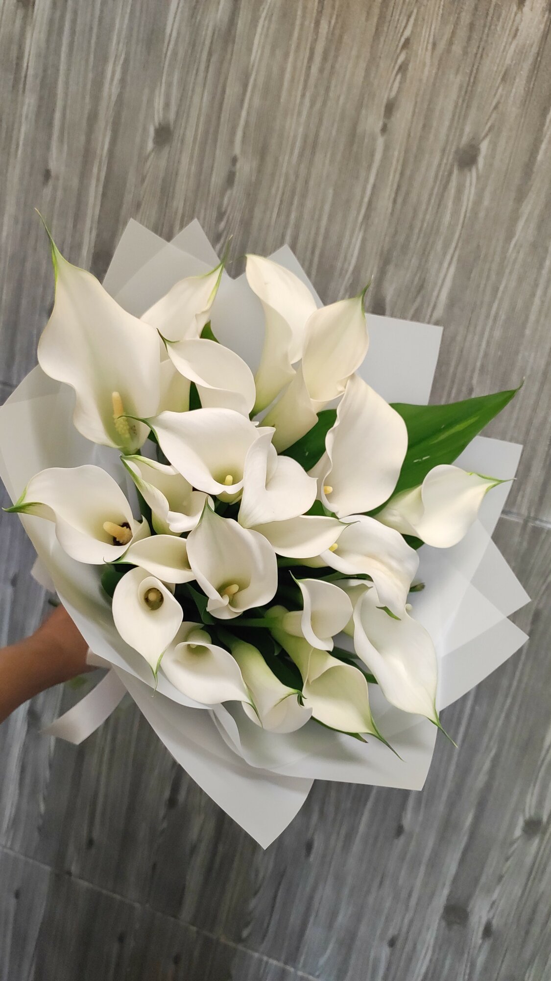 Букет из 29 белых калл