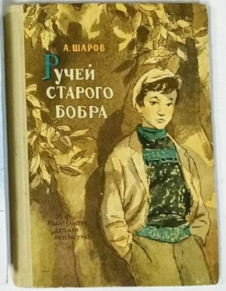 Ручей старого бобра