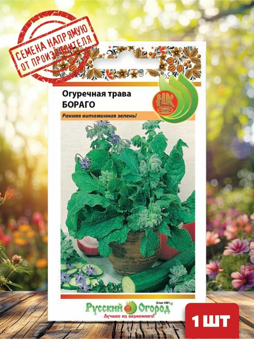 Семена Русский Огород, огуречная трава Бораго, однолетние, 0.5 гр