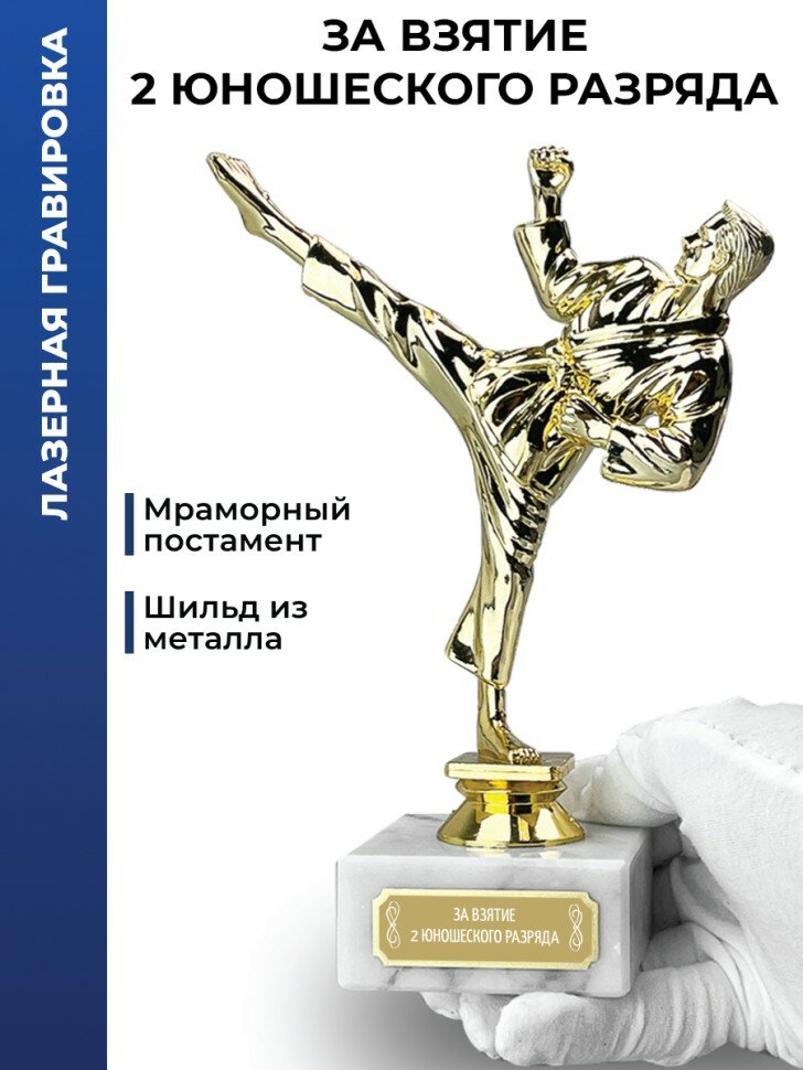 Статуэтка Карате "За взятие 2 юношеского разряда" (19,5 см)