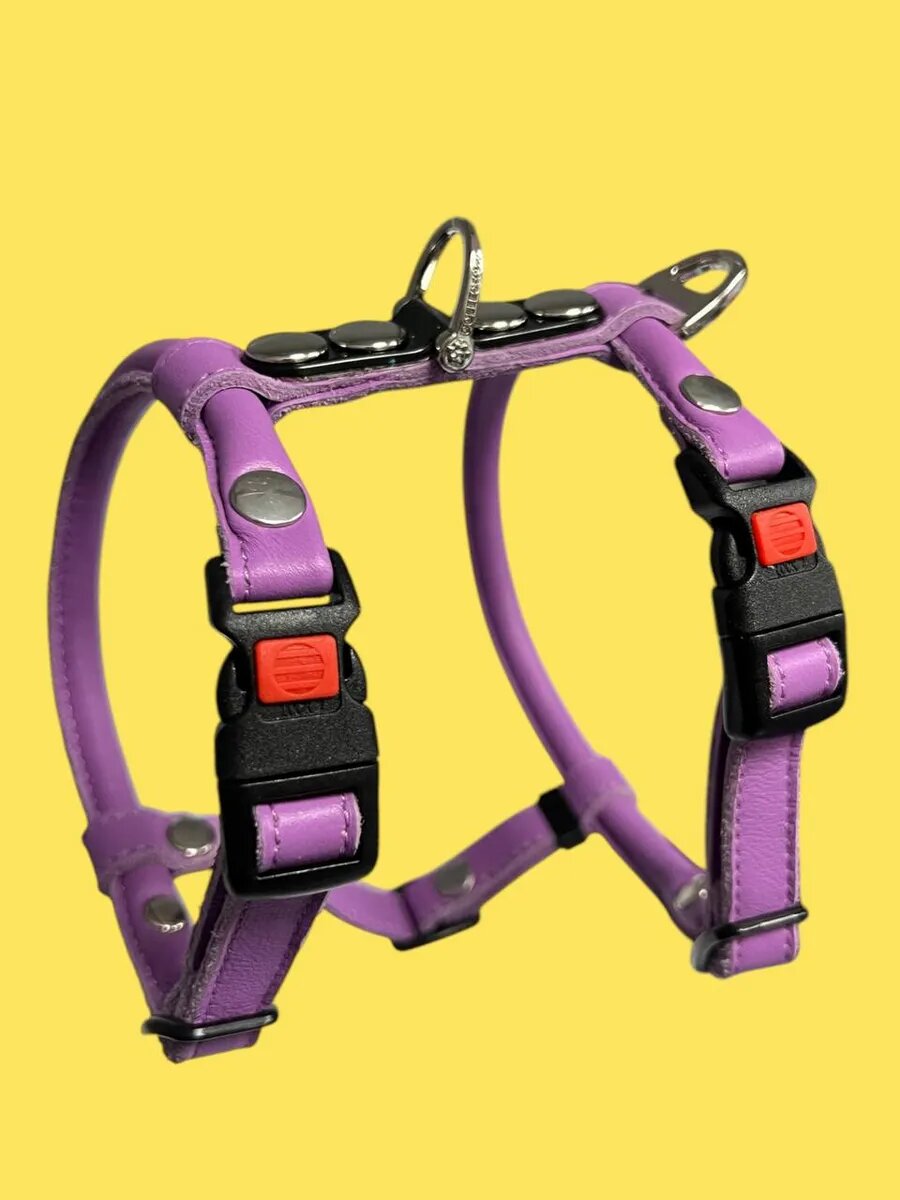 Шлейка Dogbond круглая для шпица из кожи