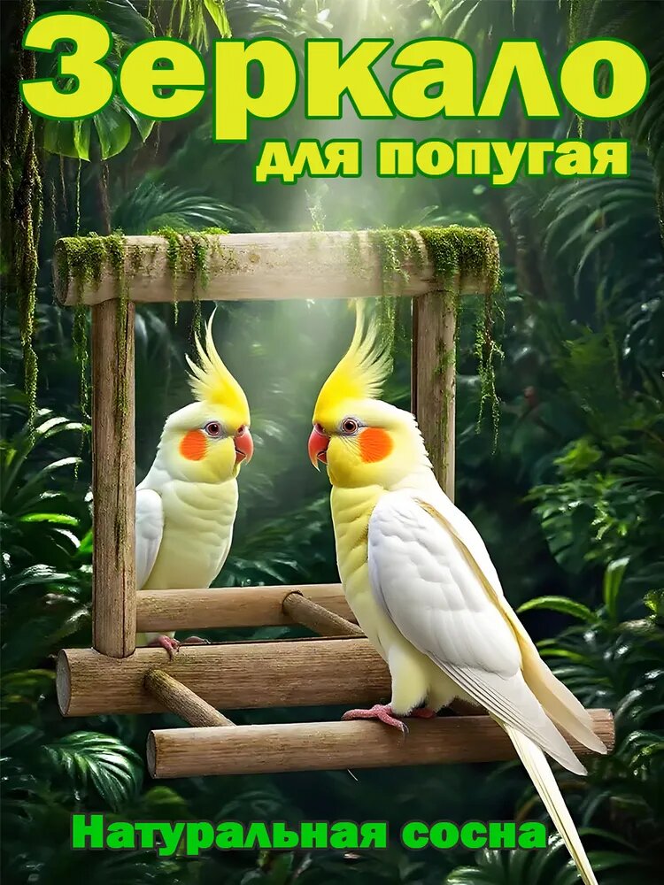 Зеркало для попугая в клетку с жердочкой. Игрушка для попугая.