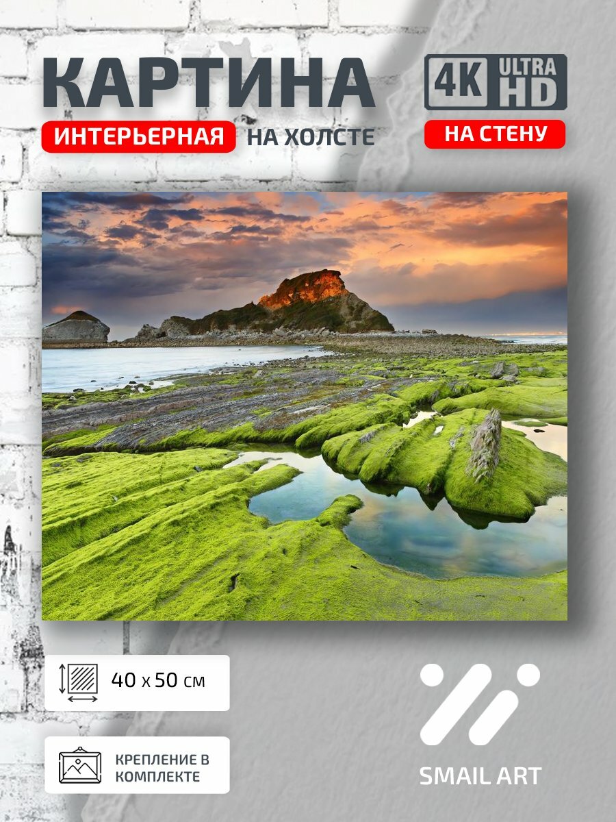 Картина на холсте интерьерная 40 на 50 на стену Мхом Landscape для кабинета пейзаж интерьер