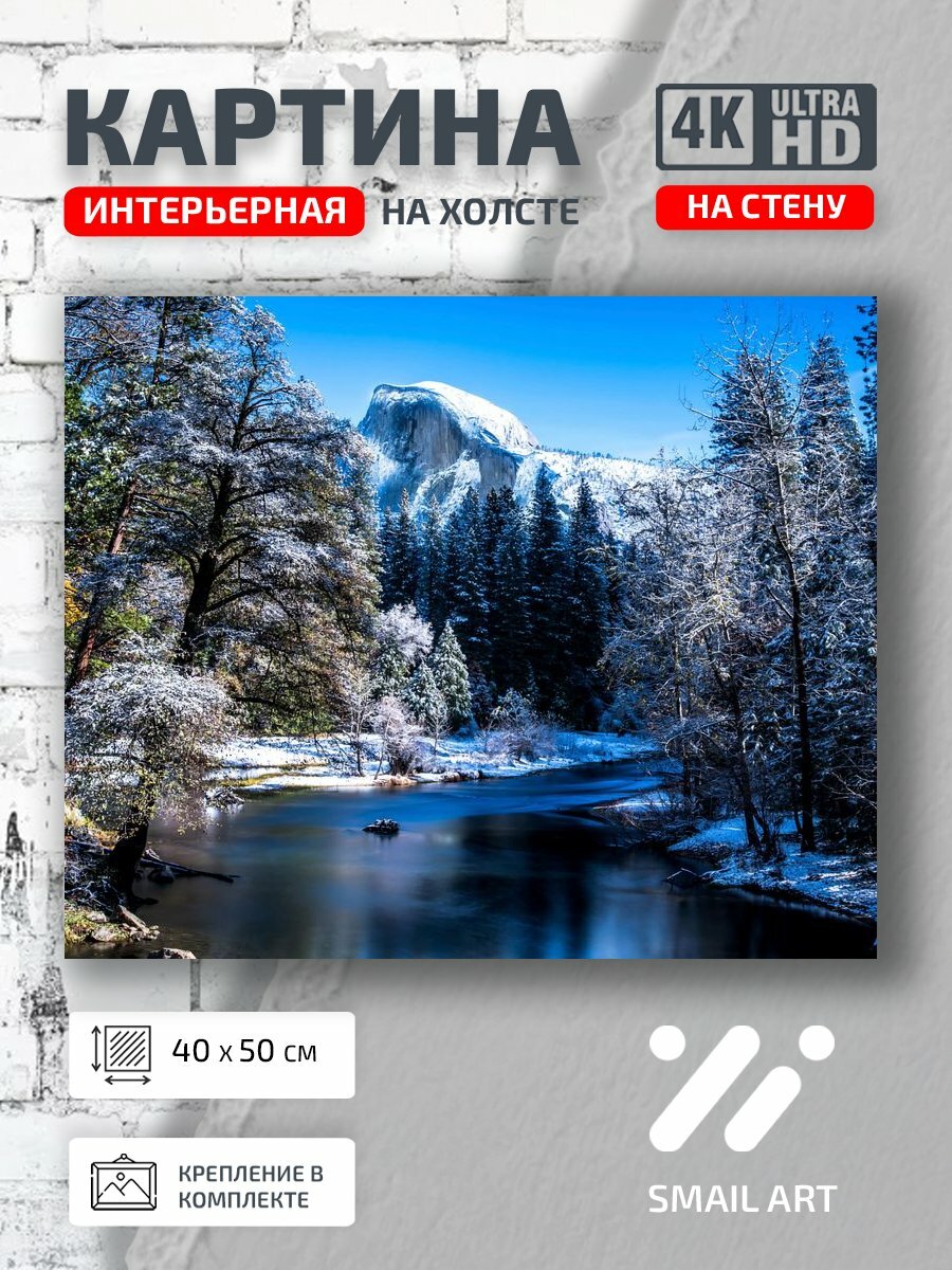 Картина на холсте интерьерная 40 на 50 на стену Снег Landscape для кабинета пейзаж интерьер