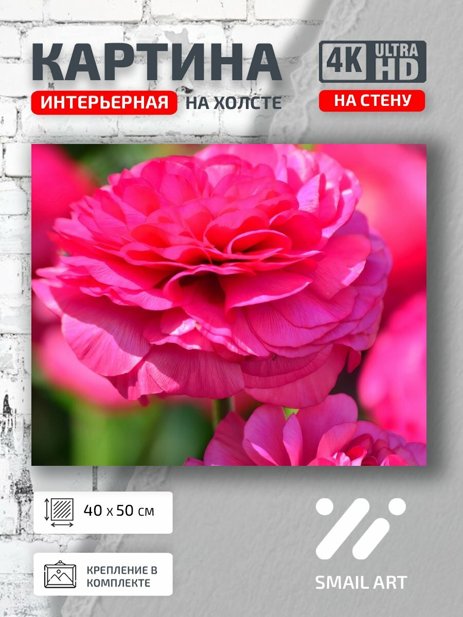 Картина на холсте интерьерная 40 на 50 на стену Розовый Mood для спальни атмосфера интерьер