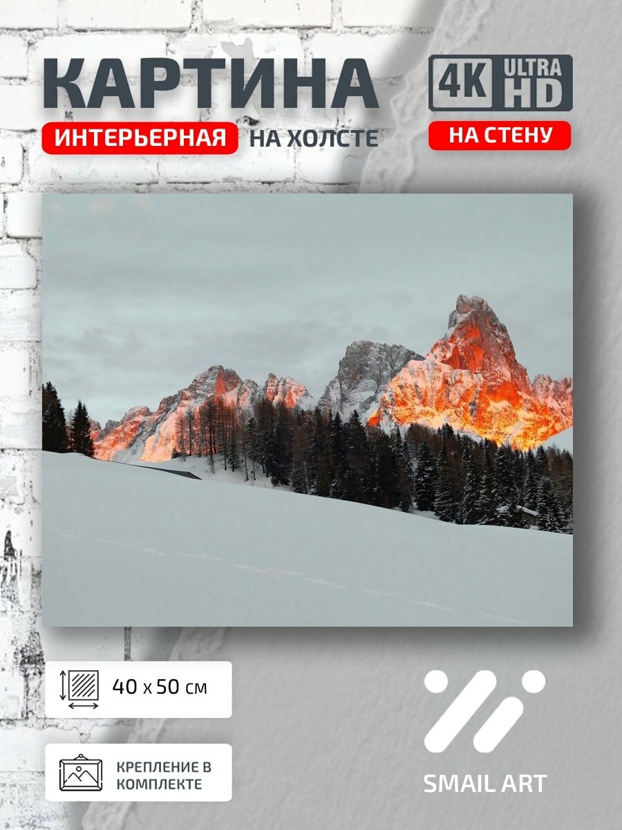 Картина на холсте интерьерная 40 на 50 на стену Заснеженные горы для гостиной пейзаж