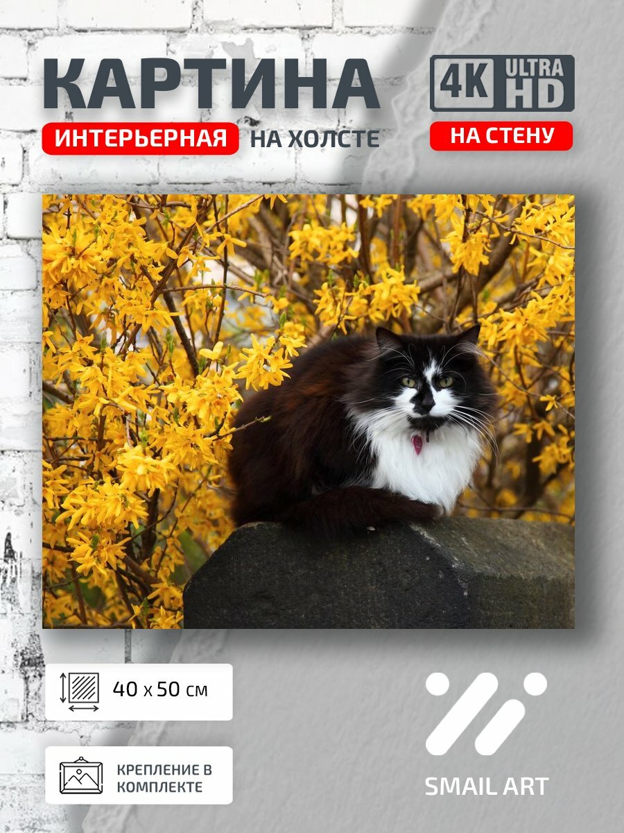 Картина на холсте интерьерная 40 на 50 на стену Камень Animal для спальни animal style