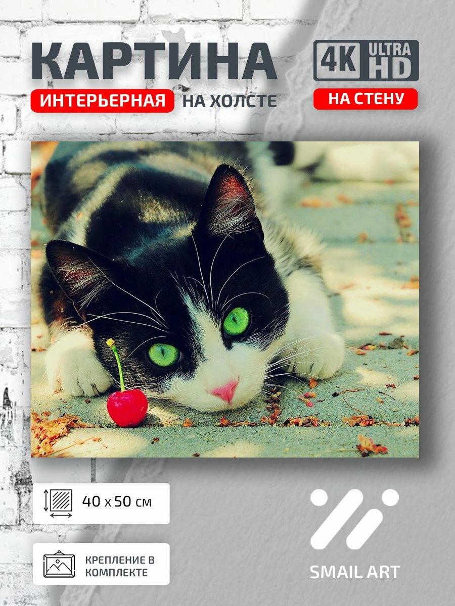 Картина на холсте интерьерная 40 на 50 на стену Кот Animal для детской animal style декор