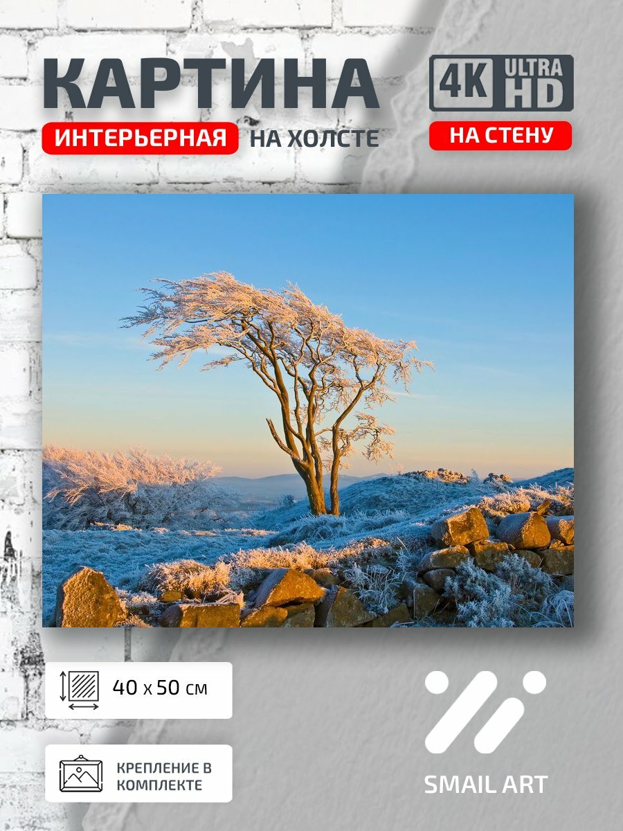 Картина на холсте интерьерная 40 на 50 на стену Инеем Landscape для спальни пейзаж интерьер