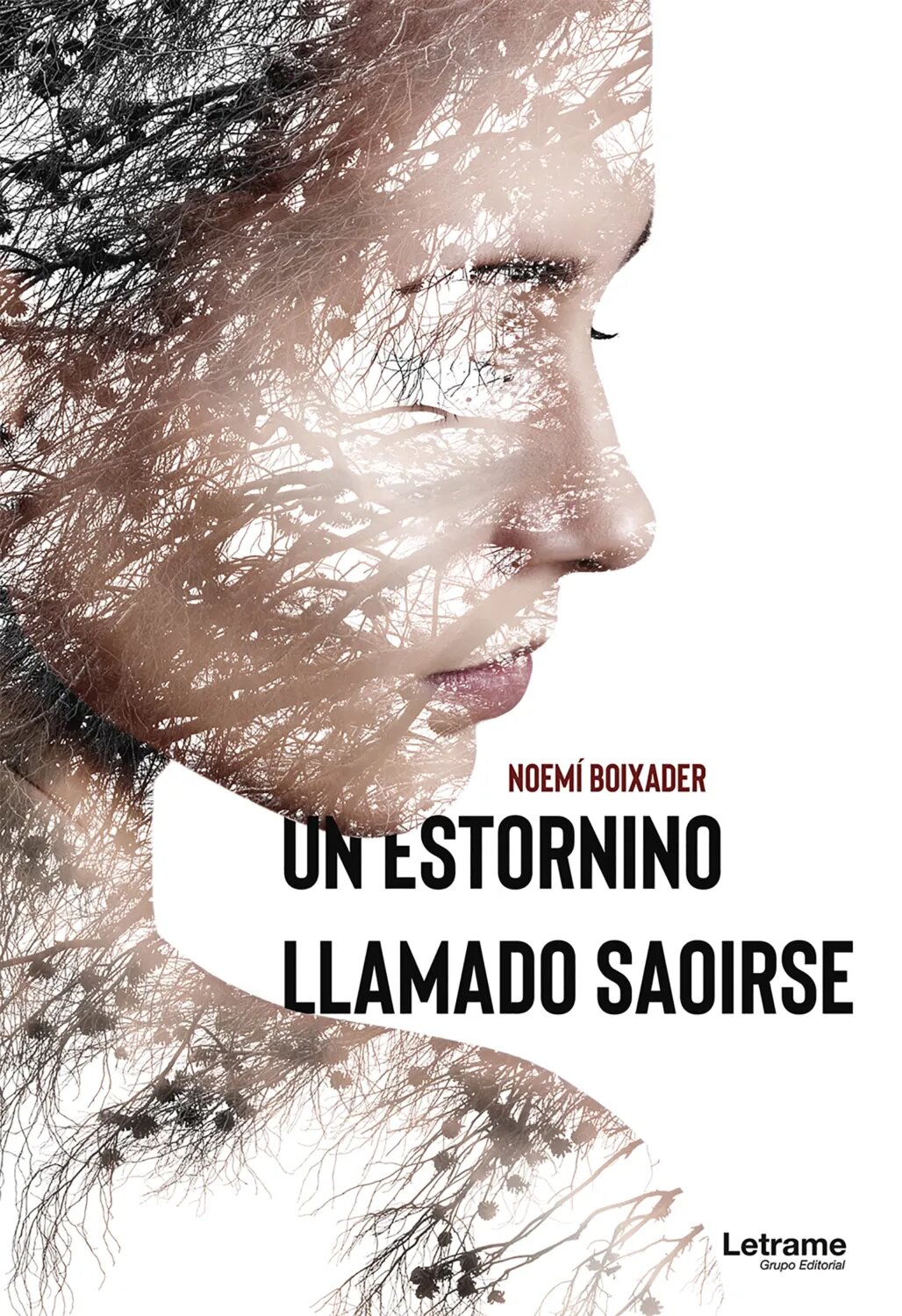 Un estornino llamado Saoirse [Цифровая книга]