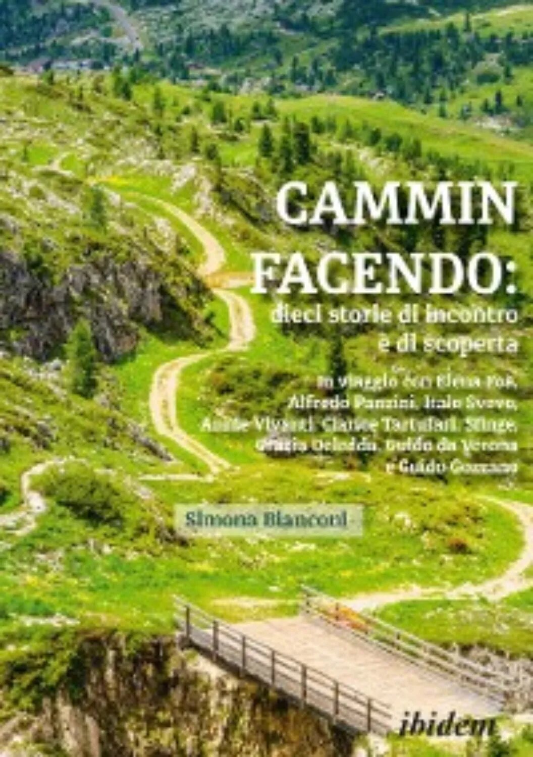Cammin facendo: dieci storie di incontro e di scoperta [Цифровая книга]