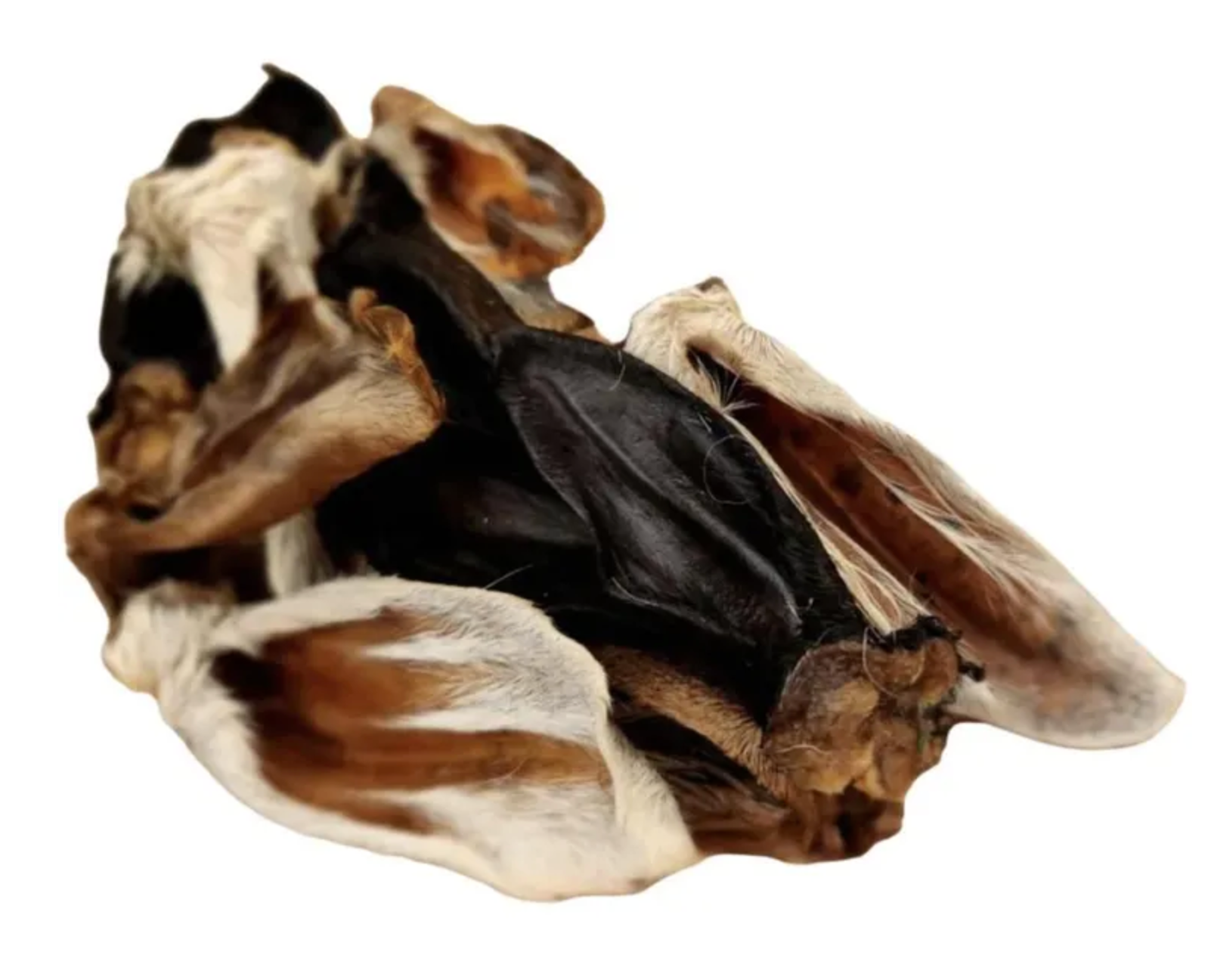 Ухо баранье сушёное, 100 гр, натуральное и полезное жевательное лакомство для собак и кошек, уши ягнёнка с шерстью, DOGROG