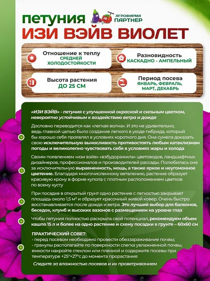 Семена петунии Изи Вэйв Виолет многоцветковая, каскадно-ампельная — фото 1