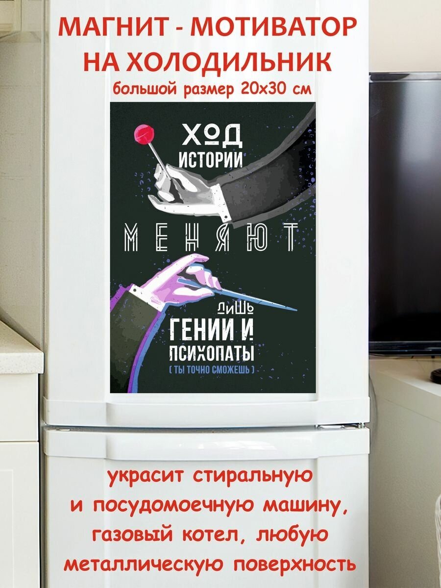Прикольный подарок, ход истории меняют лишь гении и психопаты мотивация магнит гибкий на холодильник 20 на 30 см