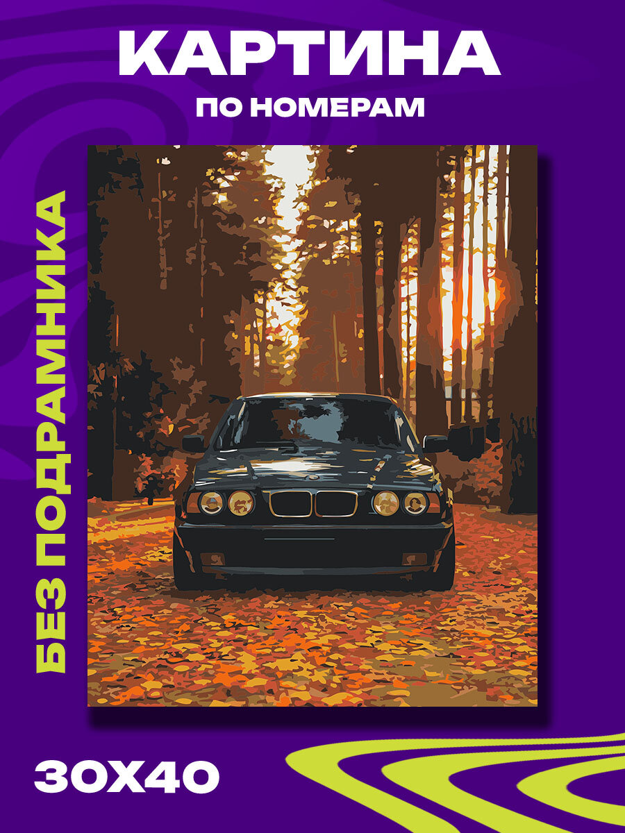 Картина по номерам Осенний закат для BMW