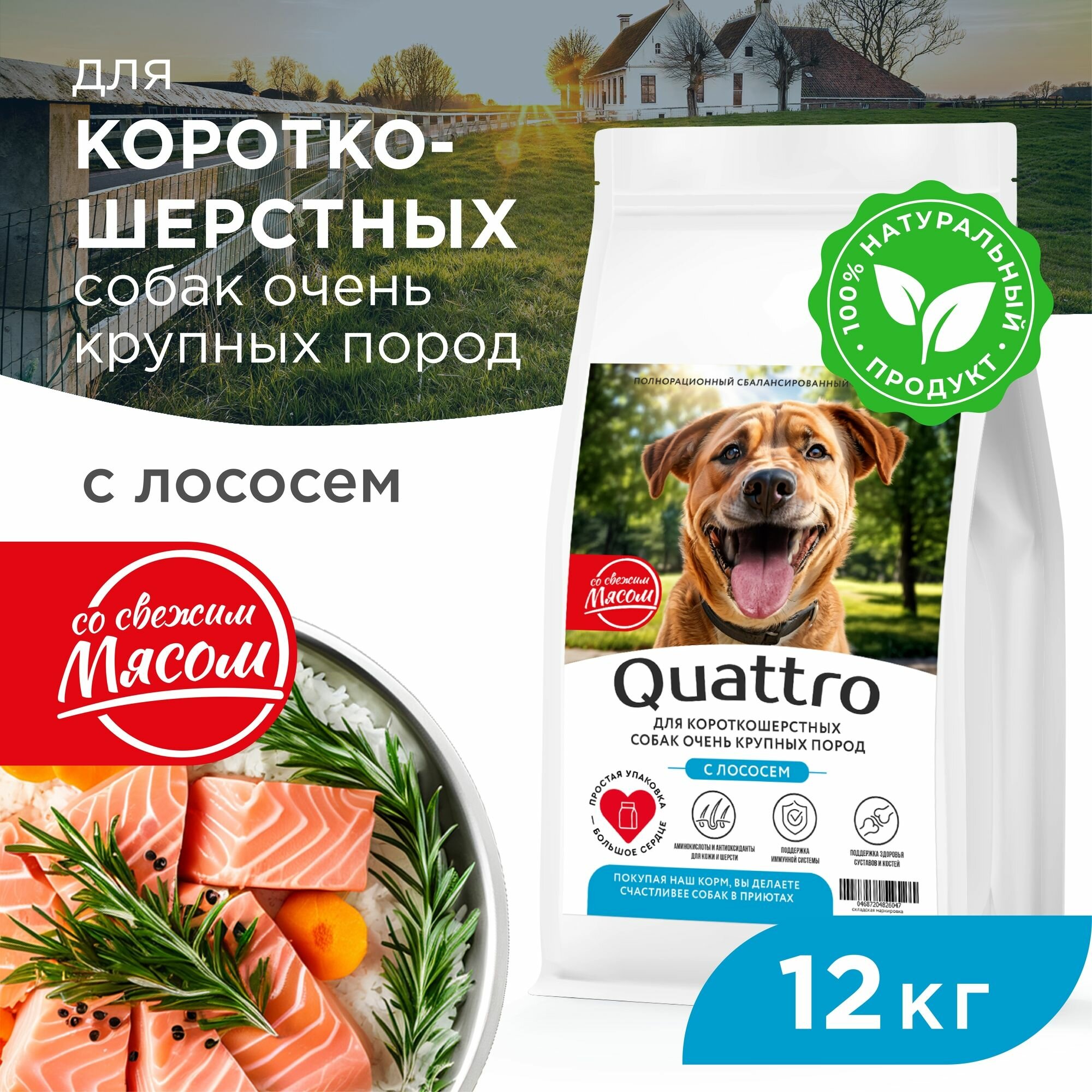 Корм сухой для взрослых собак очень крупных пород, премиум полнорационный комплекс, для короткошерстных собак, с лососем, 12 кг, QUATTRO