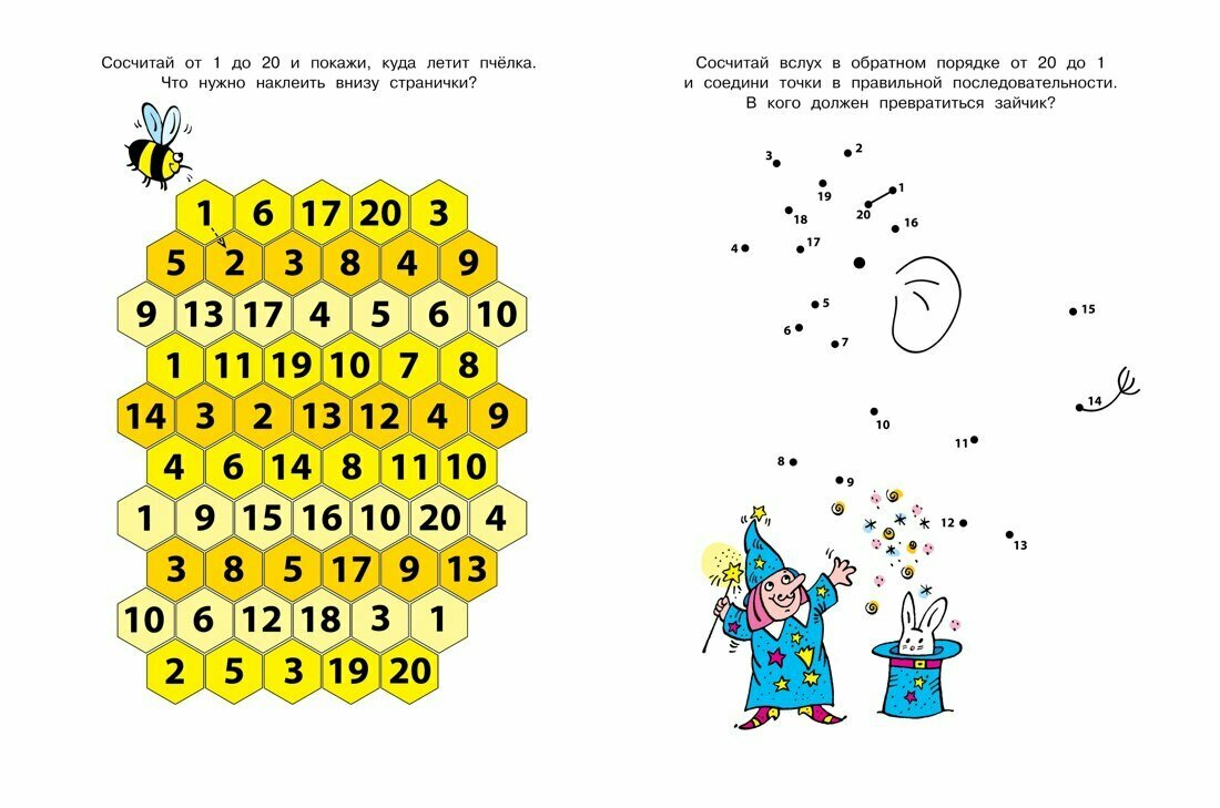 Цифры и счет (5-6 лет) — фото 1
