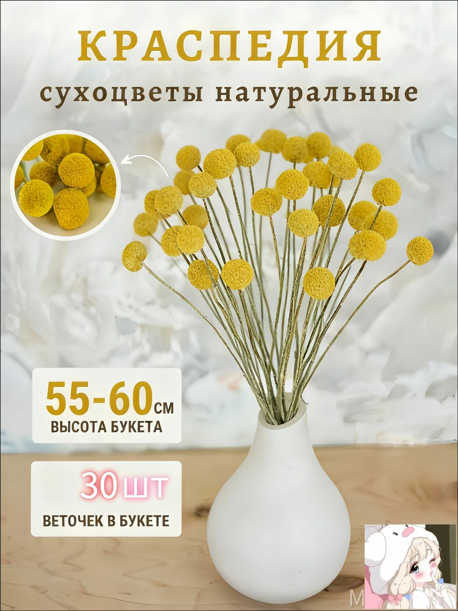 Сухоцветы для декора Trava Decor цветы Краспедия для вазы/30 шт