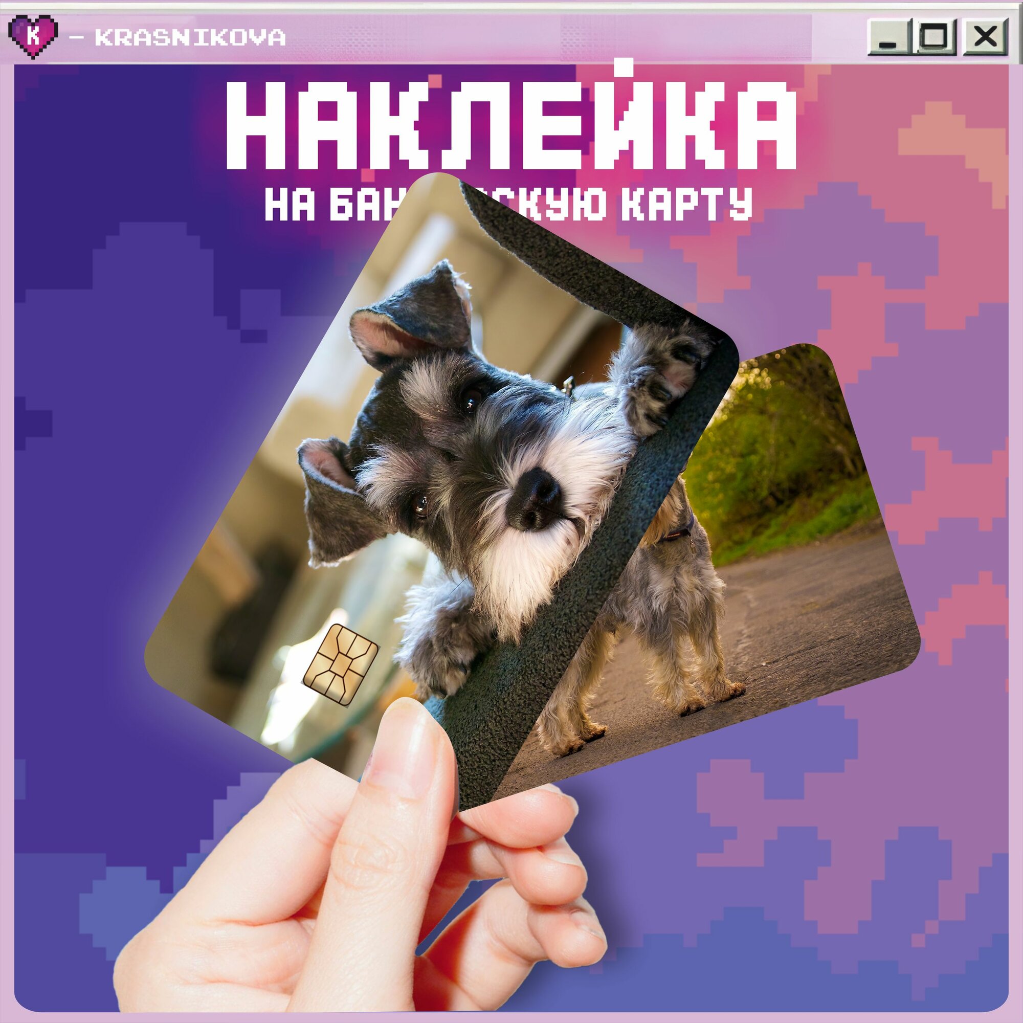 Наклейка на банковскую карту собаки цвергшнауцер