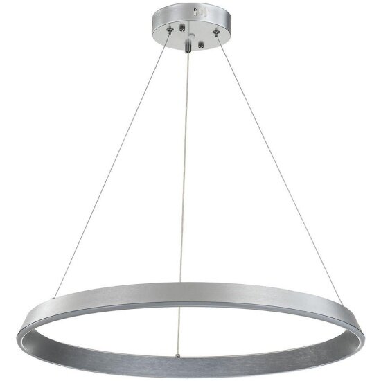 Подвесной светодиодный светильник Indigo Interior Lighting Indigo Orta 14019/1P Silver V000091L