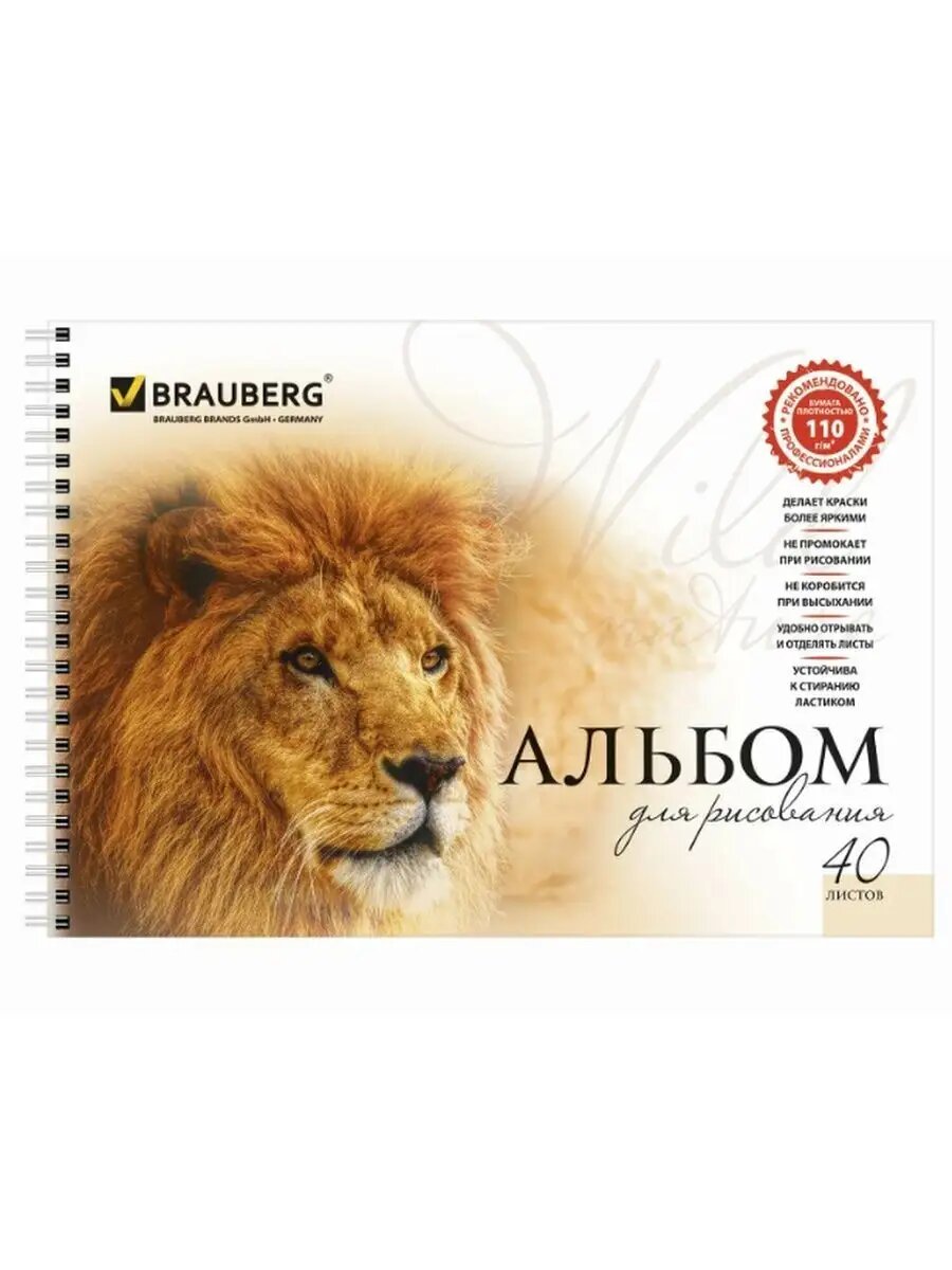 Альбом для рисования Brauberg "Благородные кошки", А4, 40 листов, гребень, обложка картон