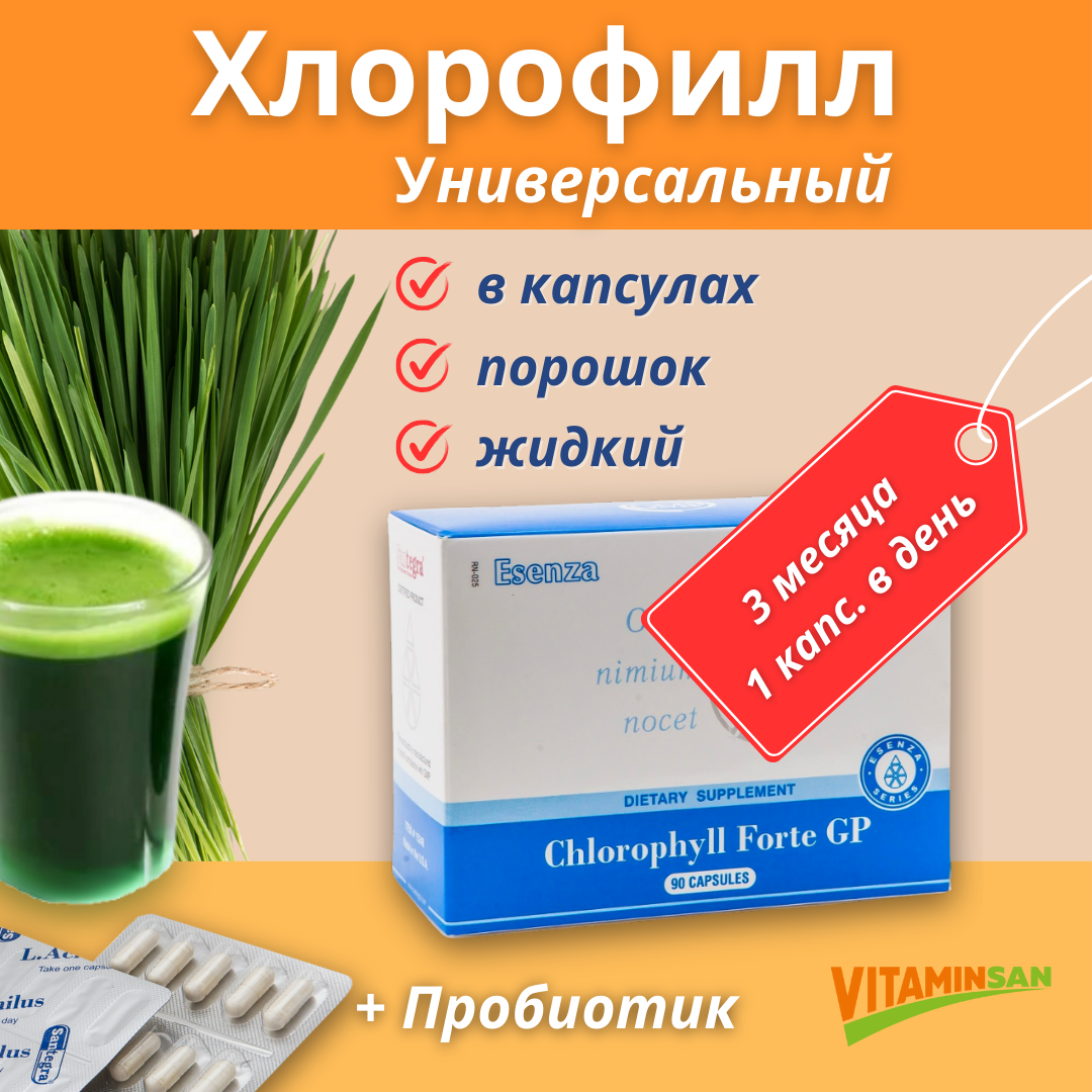 Хлорофилл + Пробиотик Лактобактерии, Santegra, для микрофлоры кишечника, для иммунитета, очищает кожу, жидкий хлорофилл в капсулах, 50 мг, 90 капсул