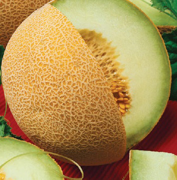 Семена дыни Осень (0,5 гр.)