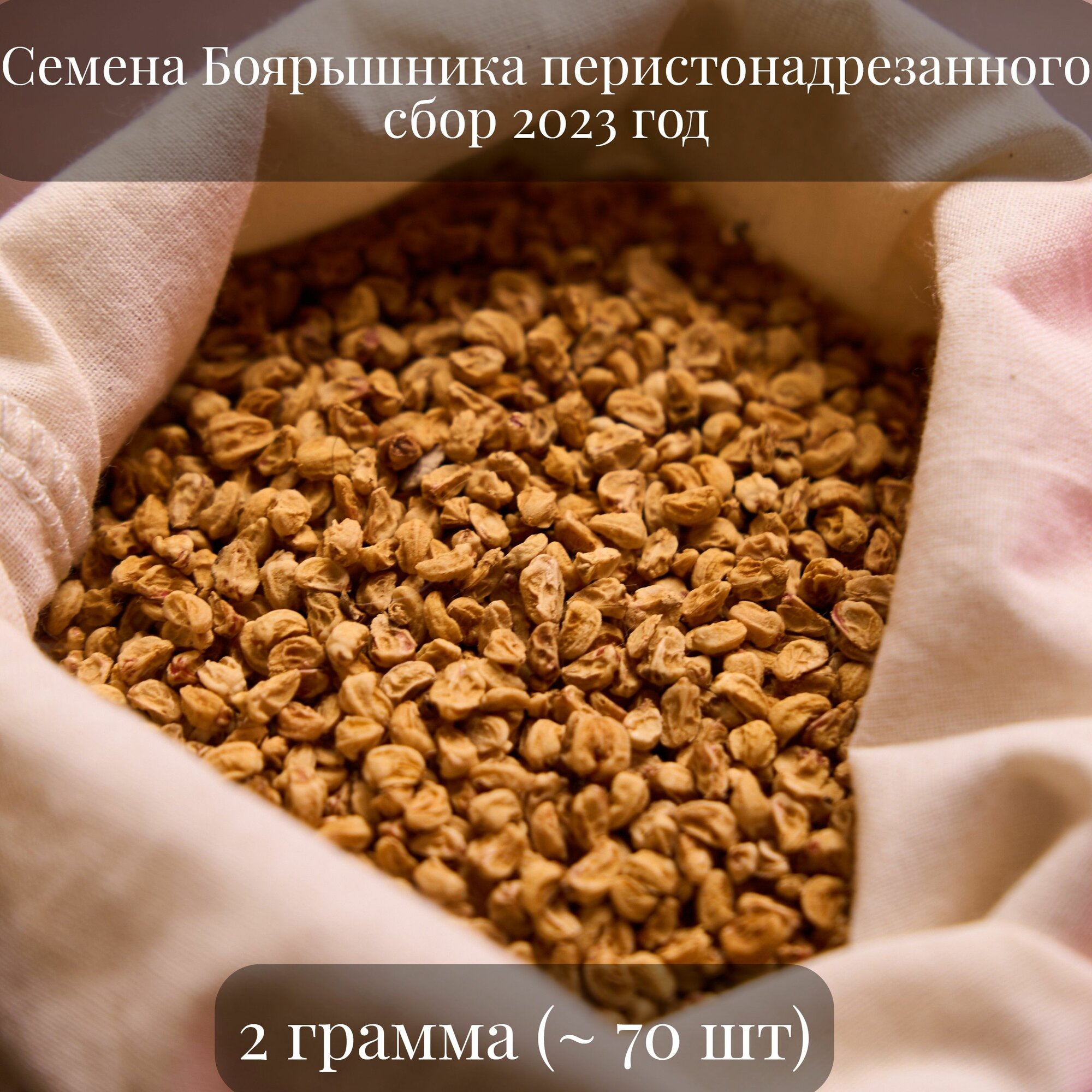 Семена Боярышника перистонадрезанного, 2 грамма (примерно 70 шт)