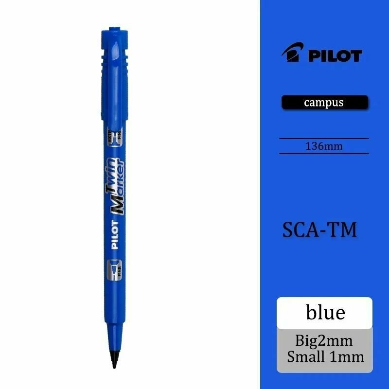 Маркер PILOT SCA-TM, для граффити, двусторонний, светостойкий, синий, 12шт