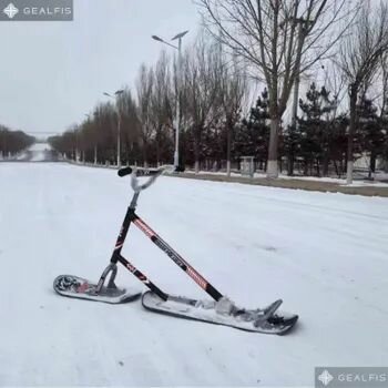 Лыжи для сноусамоката FDHGFJHFGJGHJTYGM, черный, серый