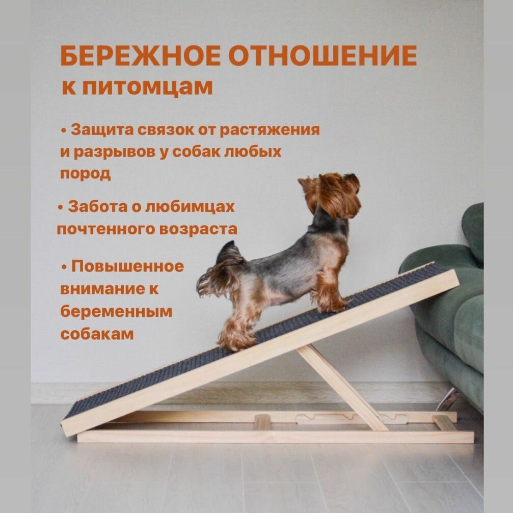 Лестница для животных — фото 1